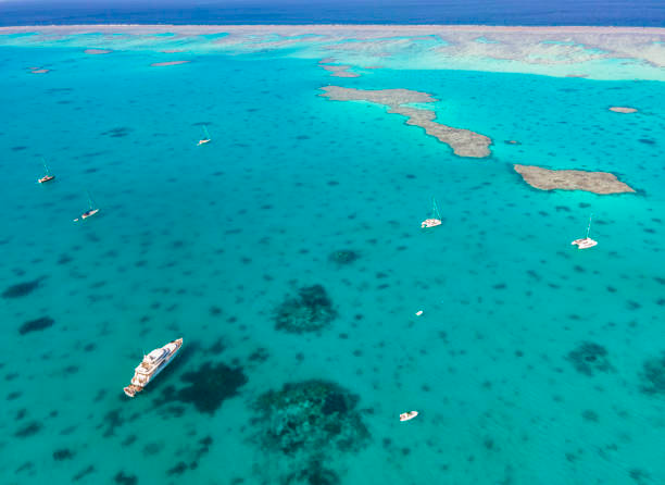 Budget-Friendly Guide to Explore Lady Musgrave Island