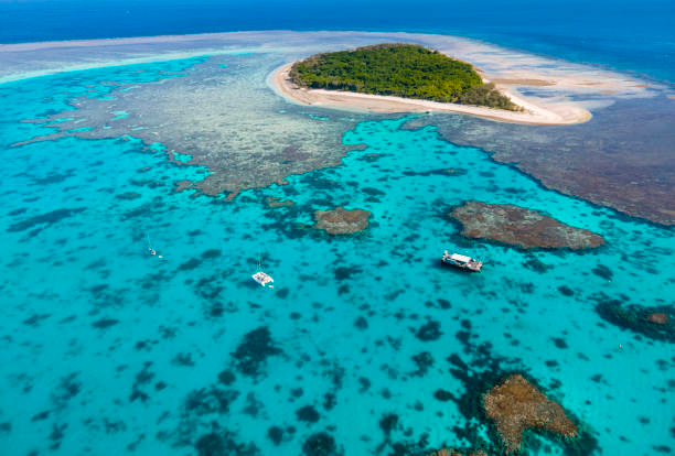 Budget-Friendly Guide to Explore Lady Musgrave Island